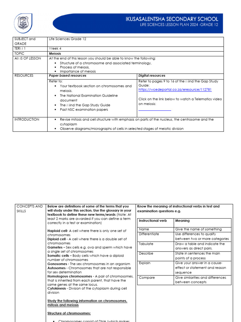 Grade 12 Meiosis Lesson Plan 2024 | PDF | Meiosis | Chromosome