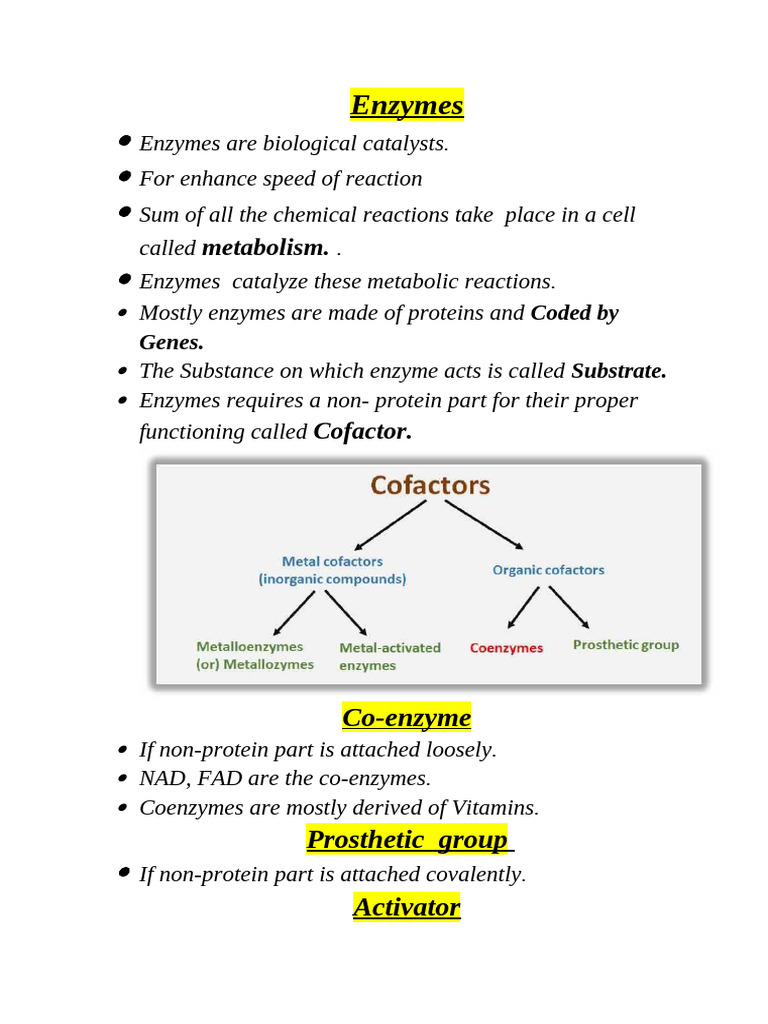 Enzymes Complete | PDF | Enzyme | Cofactor (Biochemistry)