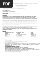 7.5A Bromothymol Blue Lab | PDF | Photosynthesis | Chloroplast