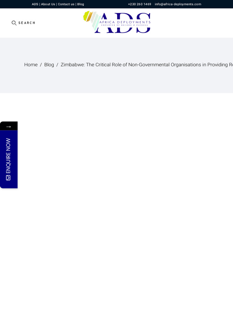 NGOs' Impact on Zimbabwe's Relief Efforts | PDF | Non Governmental ...