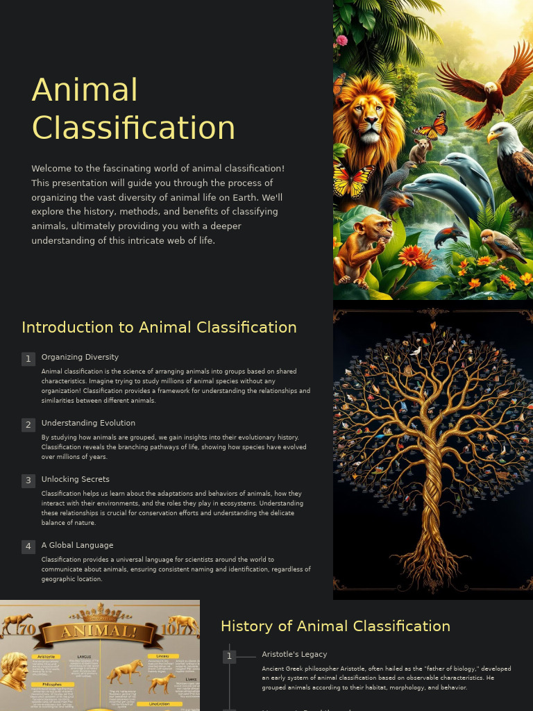 Animal Classification | PDF | Sponge | Evolution