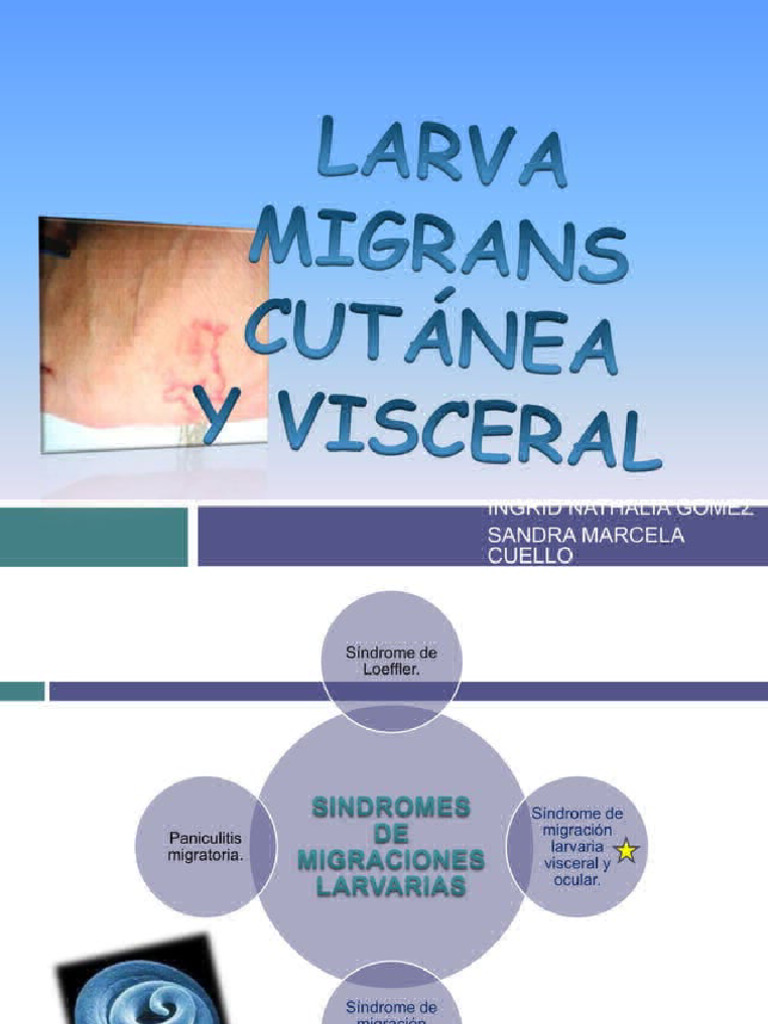 Larva Migrans Cutnea y Visceral 14707508 | PDF