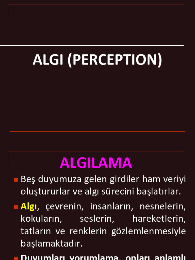 ALGILAMA | PDF