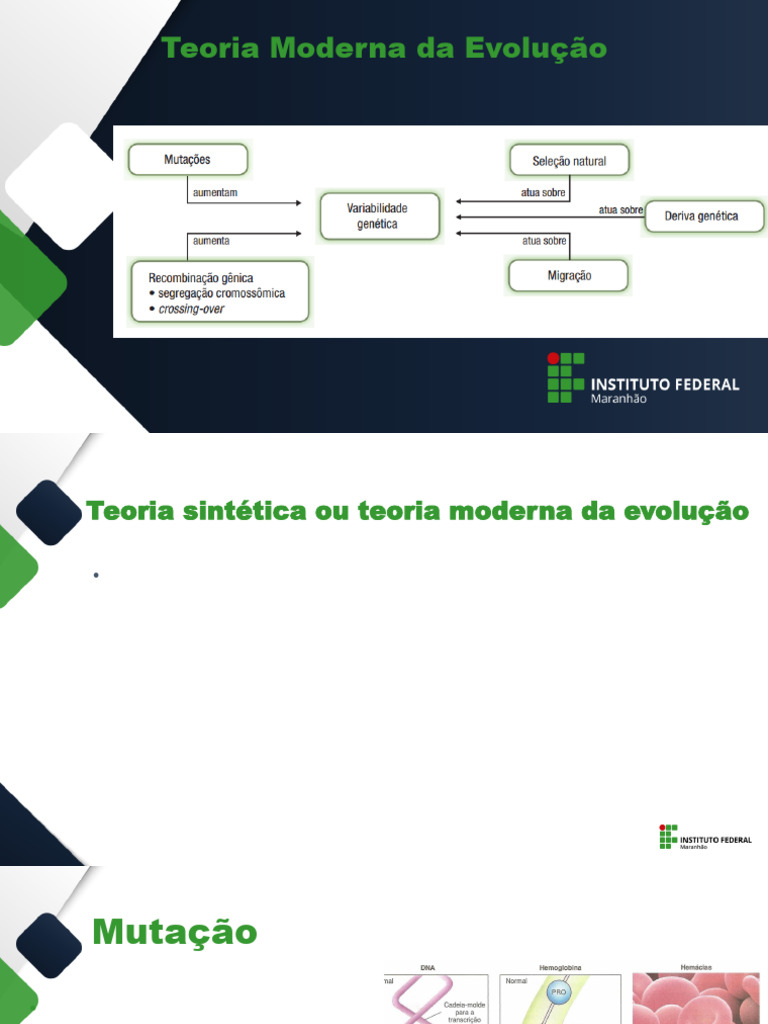 Teoria Moderna da Evolução e Fatores Principais | PDF