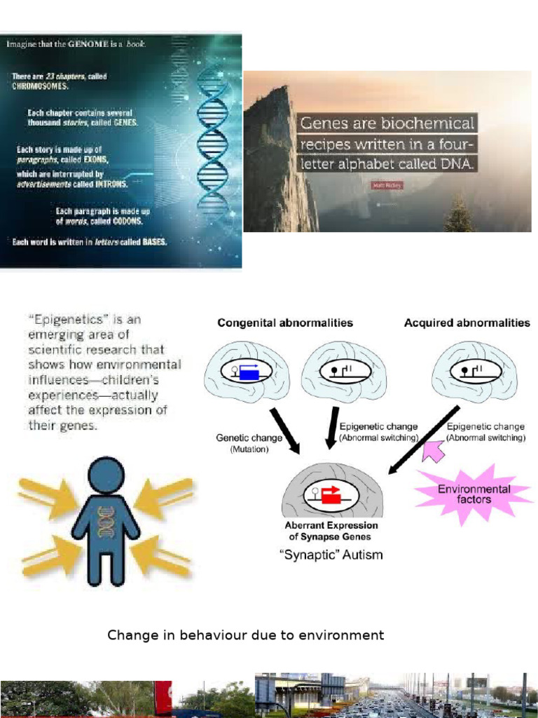 Epigenetic Interventions for ASD | PDF