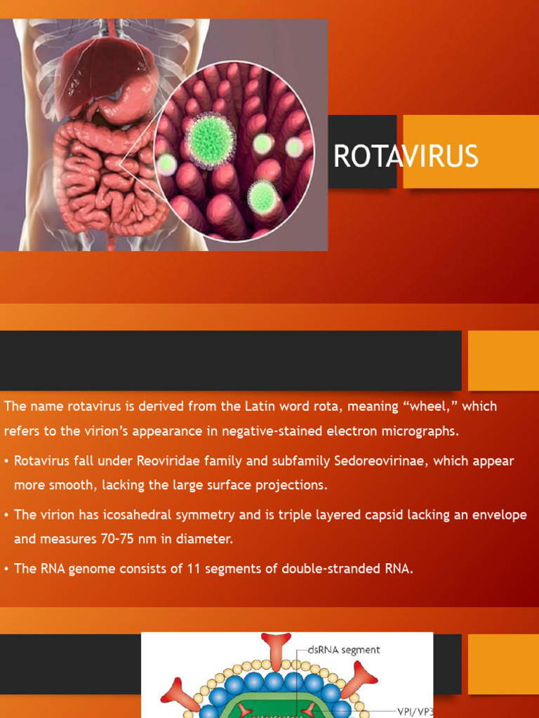 ROTAVIRUS | PDF