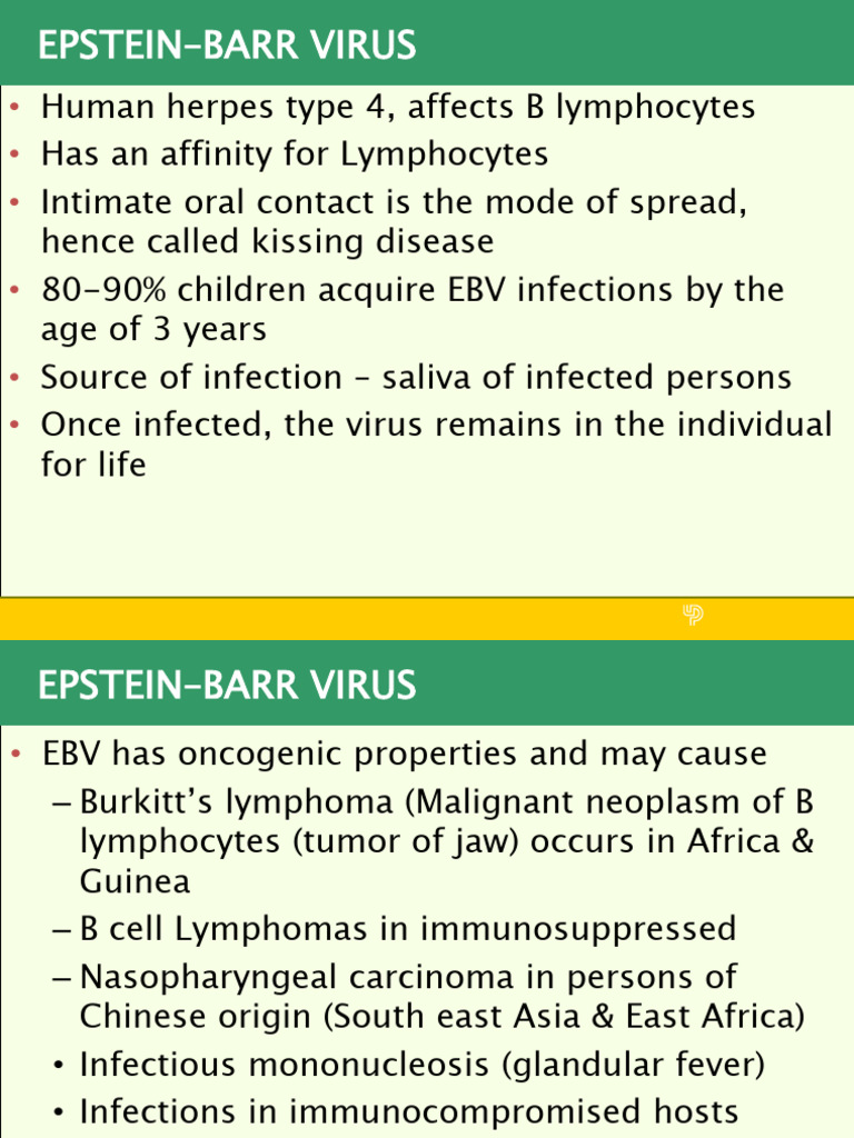 Herpes 4- Ebv | PDF | Immunology | Viral Diseases