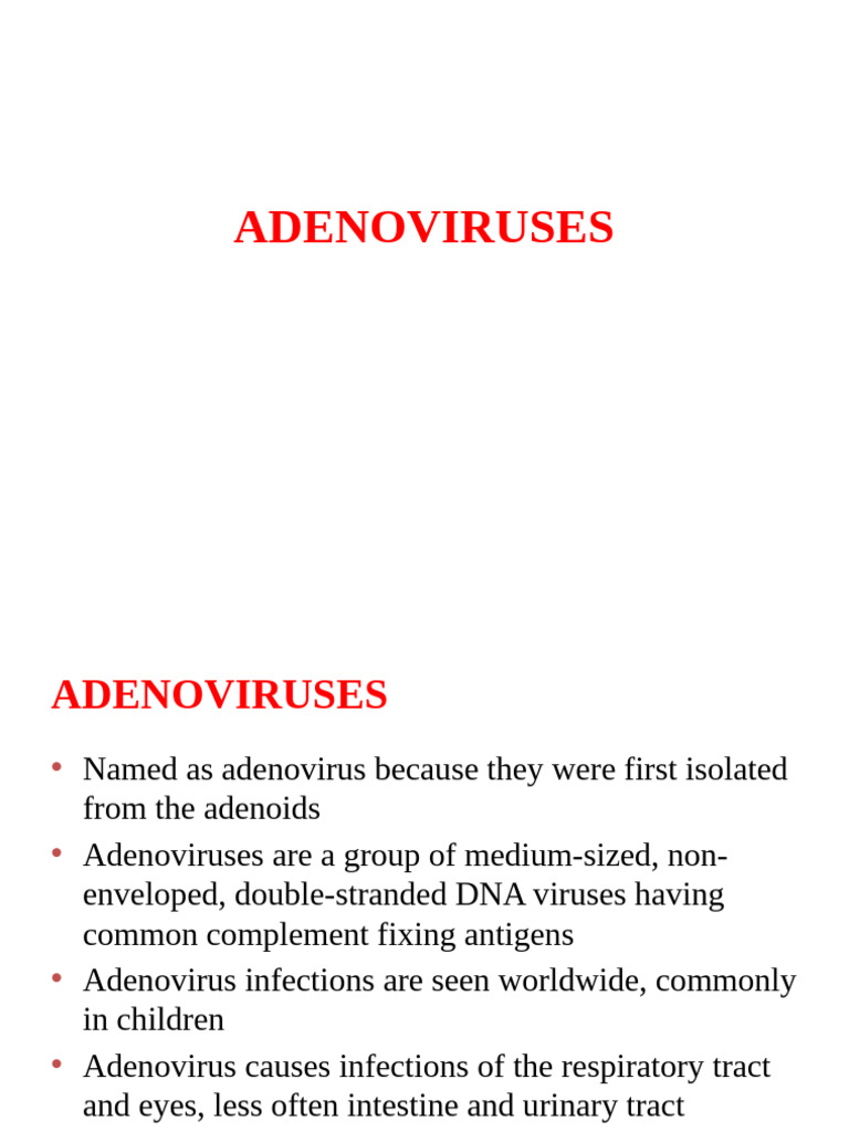 Adenoviruses For MLT | PDF | Adenoviridae | Virus