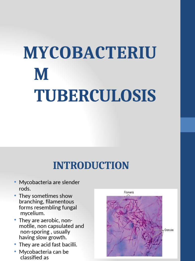 Mycobacterium Tuberculosis Guide | PDF | Mycobacterium | Microbiology