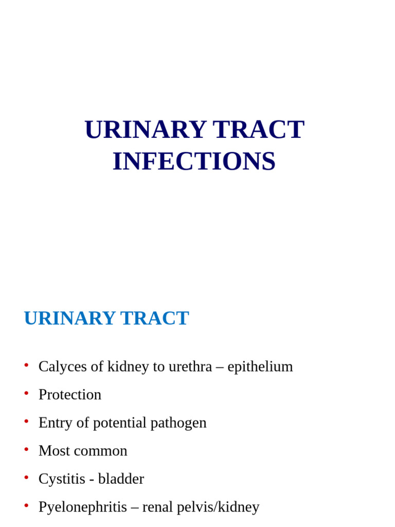 Urinary Tract Infections and Gastrointestinal Inections | PDF | Urinary ...