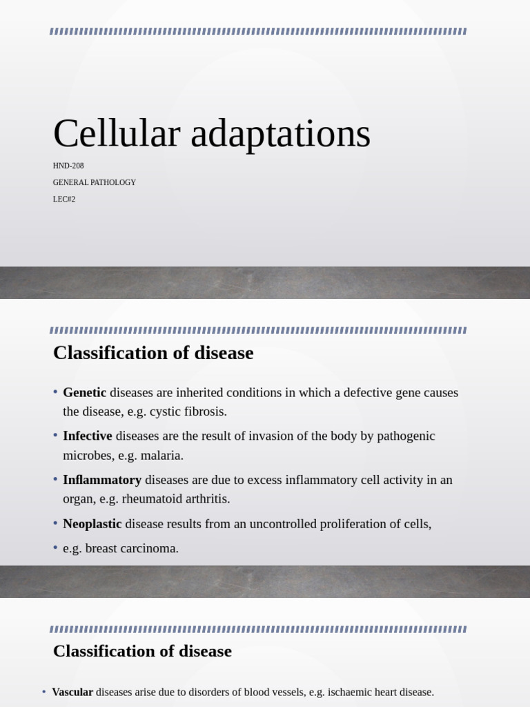 lec 2..Cellular adaptations | PDF | Neoplasms | Cell Nucleus