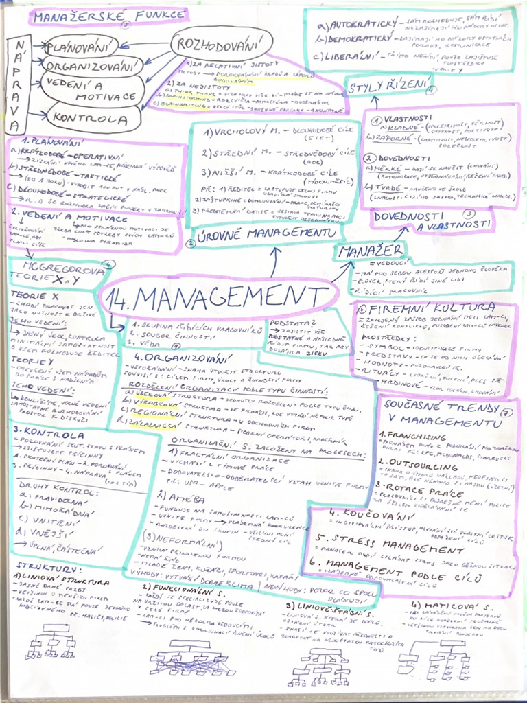Management | PDF