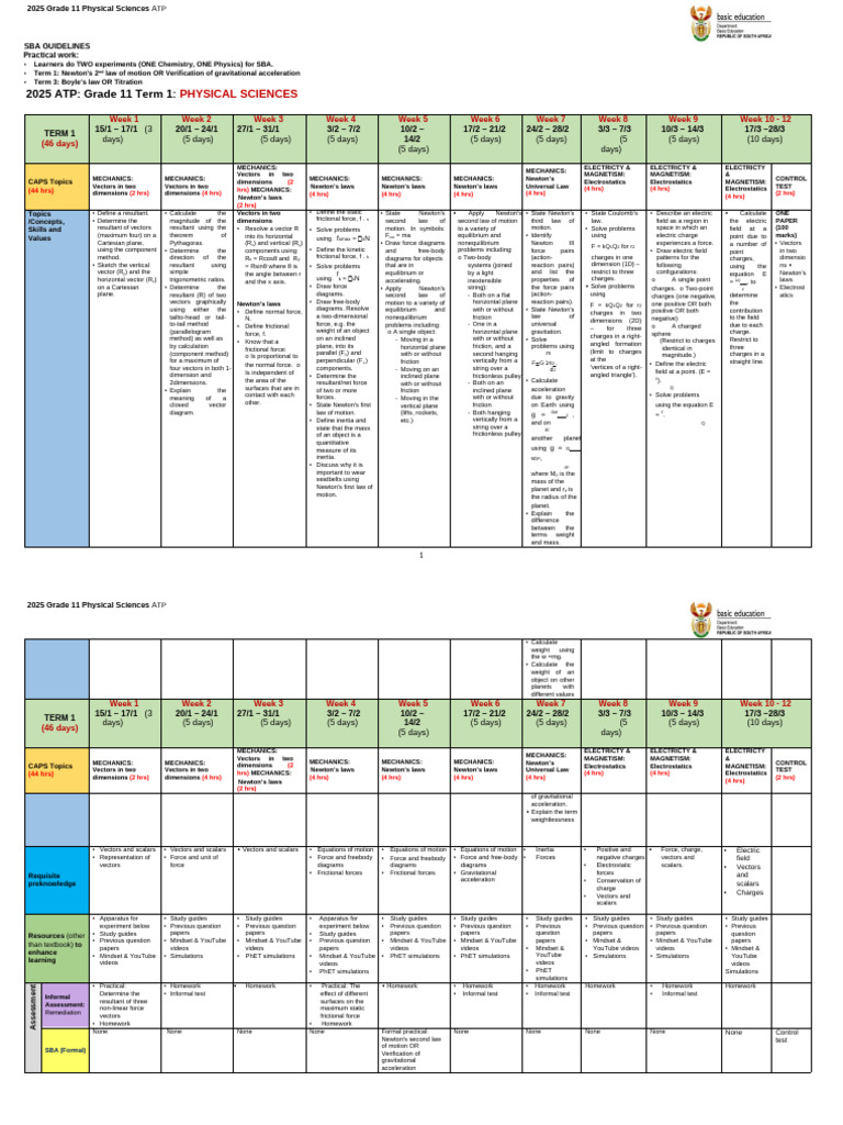 PHYS SCI 2025 National ANNUAL TEACHING PLAN GR 11 ENG | PDF | Force ...