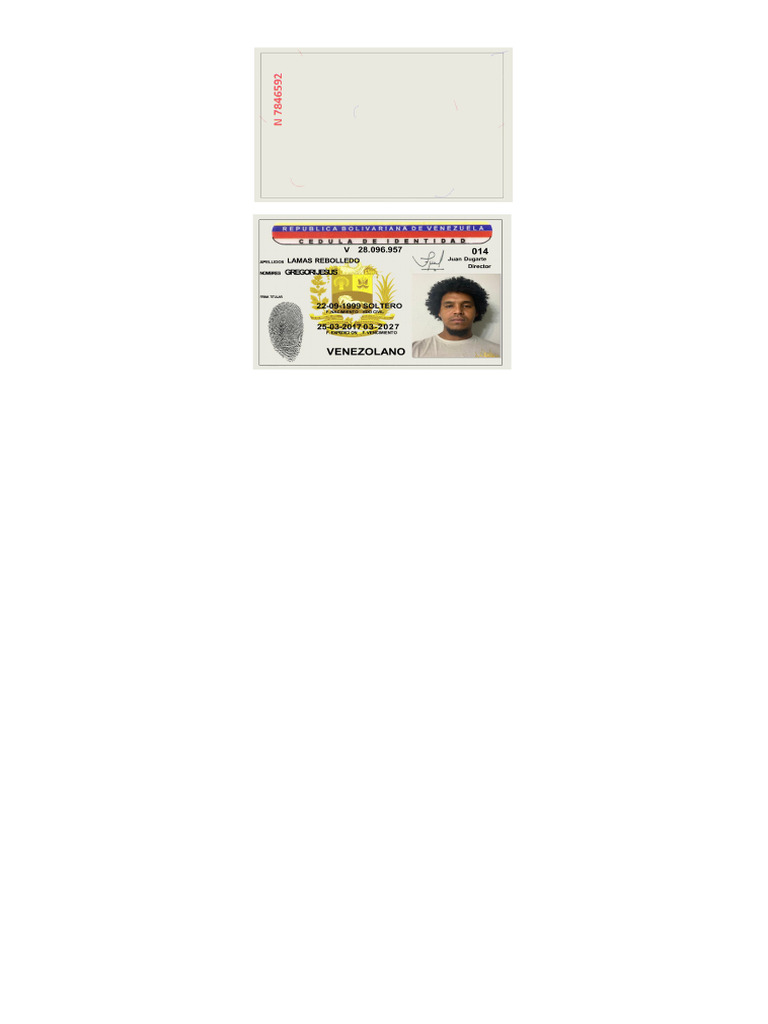 Cedula Lamas 2 | PDF