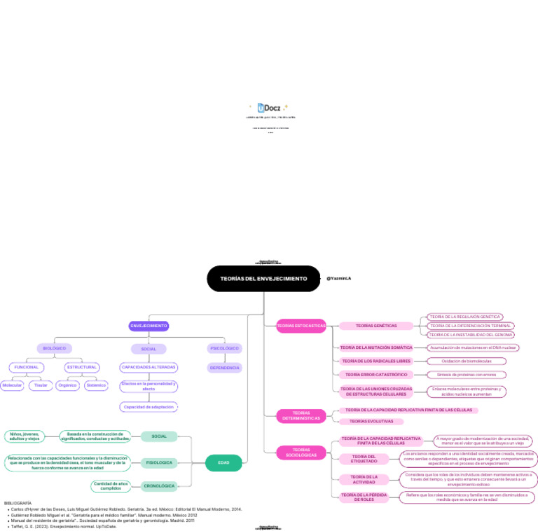 mapa-conceptual-teor-775712-downloadable-5484139 | PDF | Envejecimiento | Biología Celular)