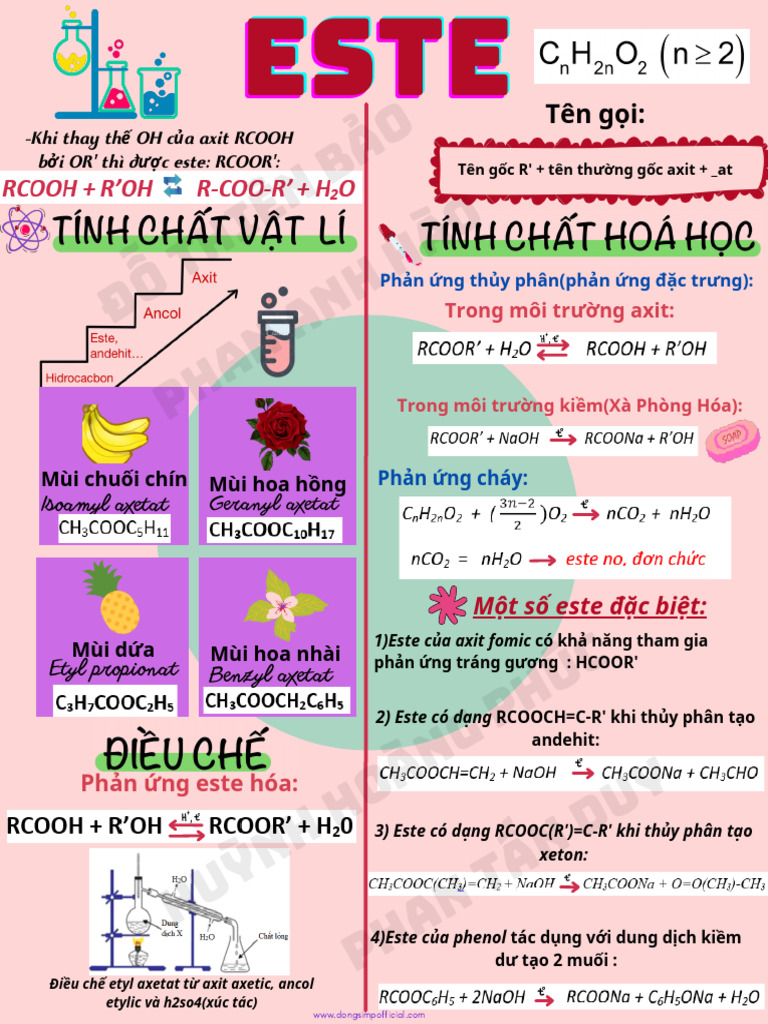 Red and Blue Colorful Infographic Resume | PDF