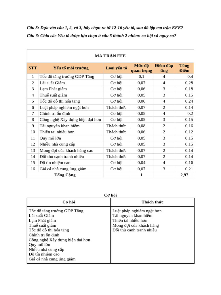 Ma trận EFE | PDF