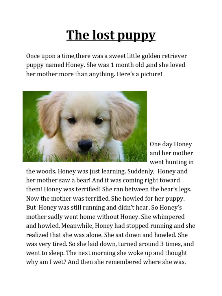 The Lost Puppy | PDF