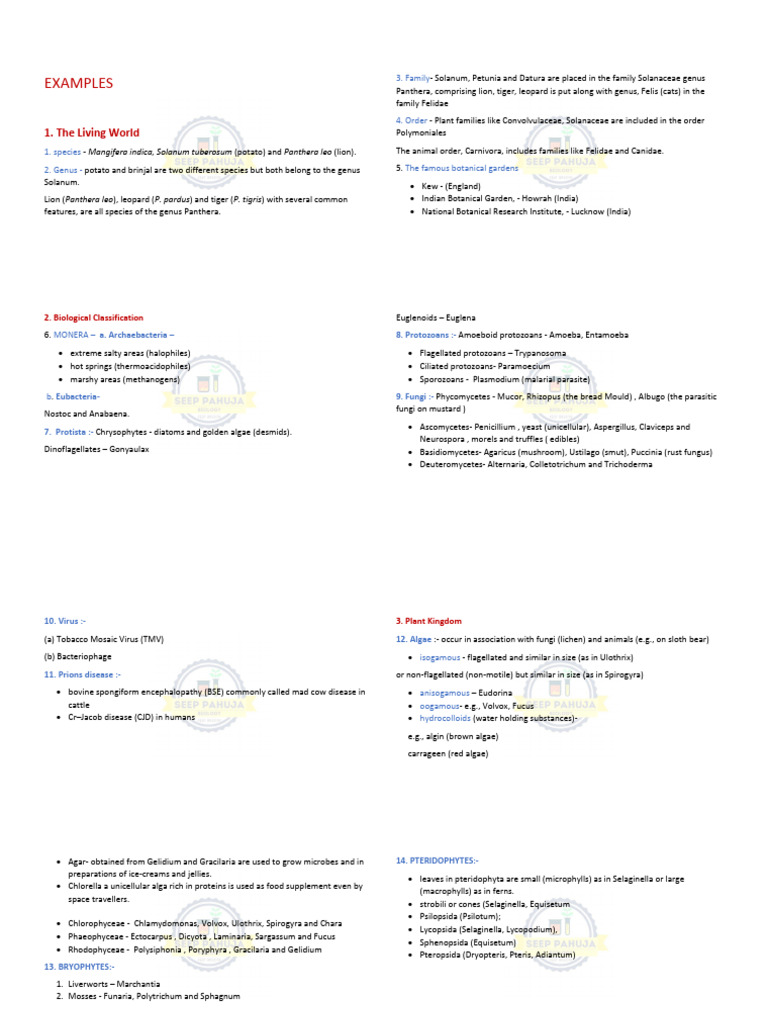 All NCERT Examples 11th & 12th BY Seep Pahuja | PDF | Rna | Biology