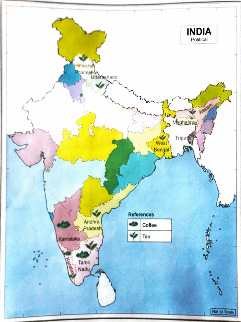 Indian States and Tea/Coffee Regions | PDF