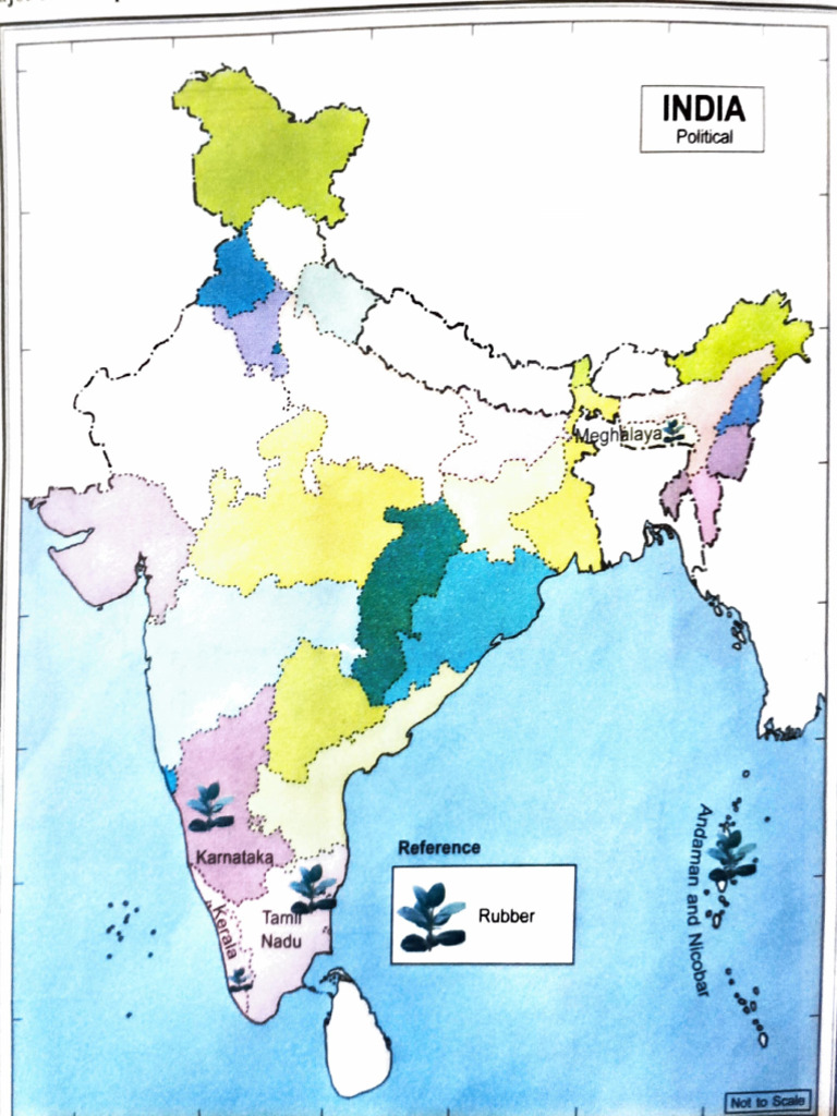 Rubber Production in India Map | PDF