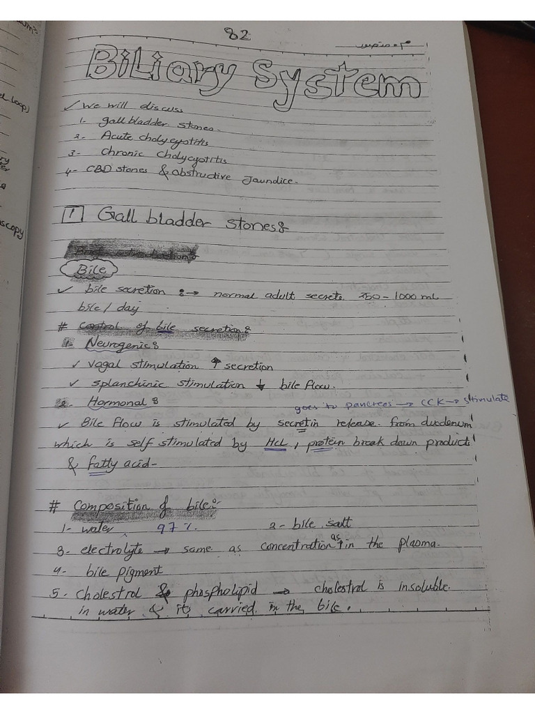 Biliary System | PDF