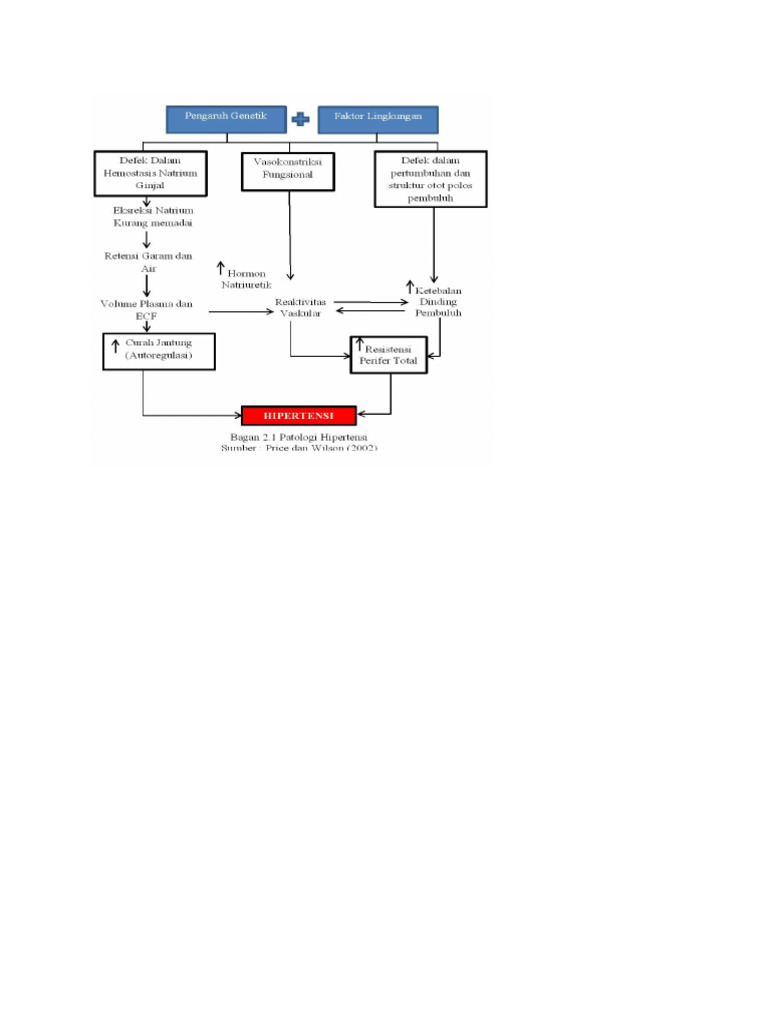 Bagan 2 1 Patalogi Hipertensi | PDF