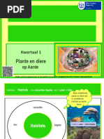 Graad 4 NWT Kwartaal 2 Soliede Materiale | PDF