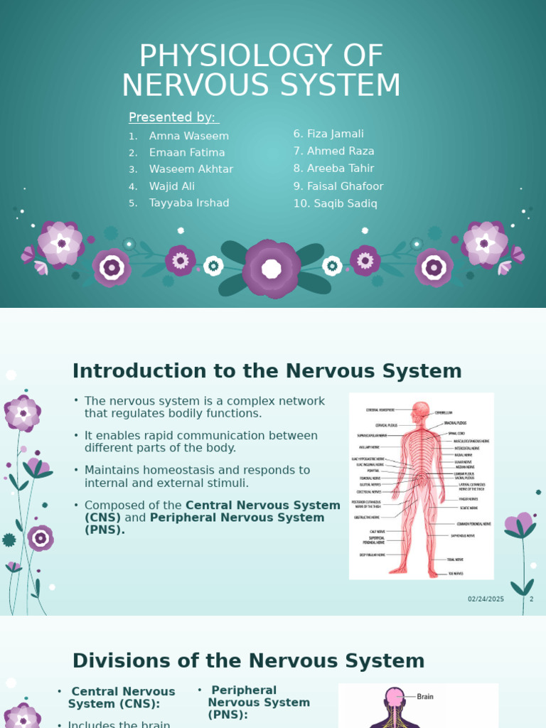 Physiology of Nervous System | PDF | Nervous System | Neuron