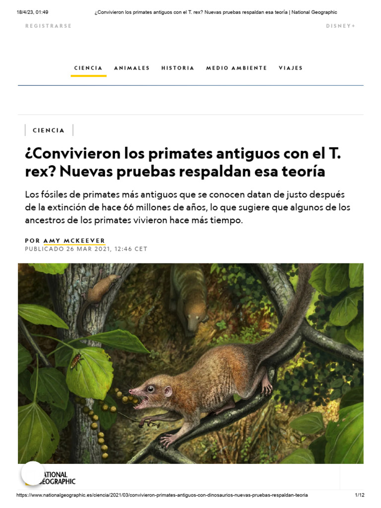 ¿Convivieron los primates antiguos con el T. rex_ Nuevas pruebas ...