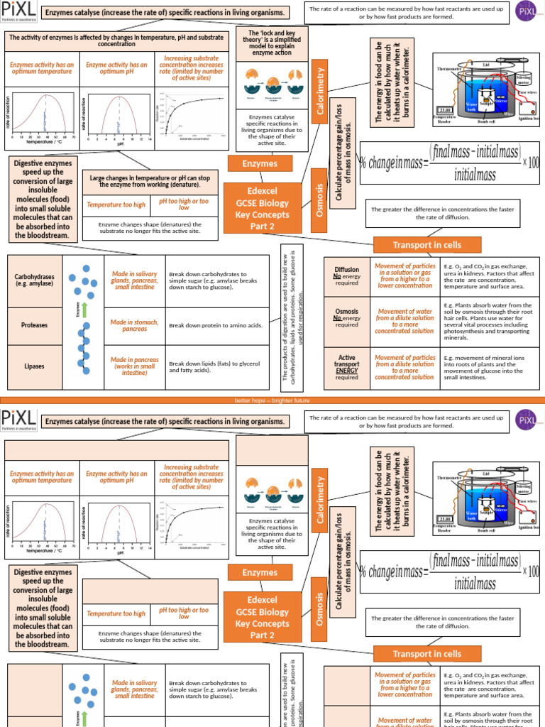 Edexcel - Biology - Key Concepts - Knowledge MAT Part 2 - GCSE | PDF ...