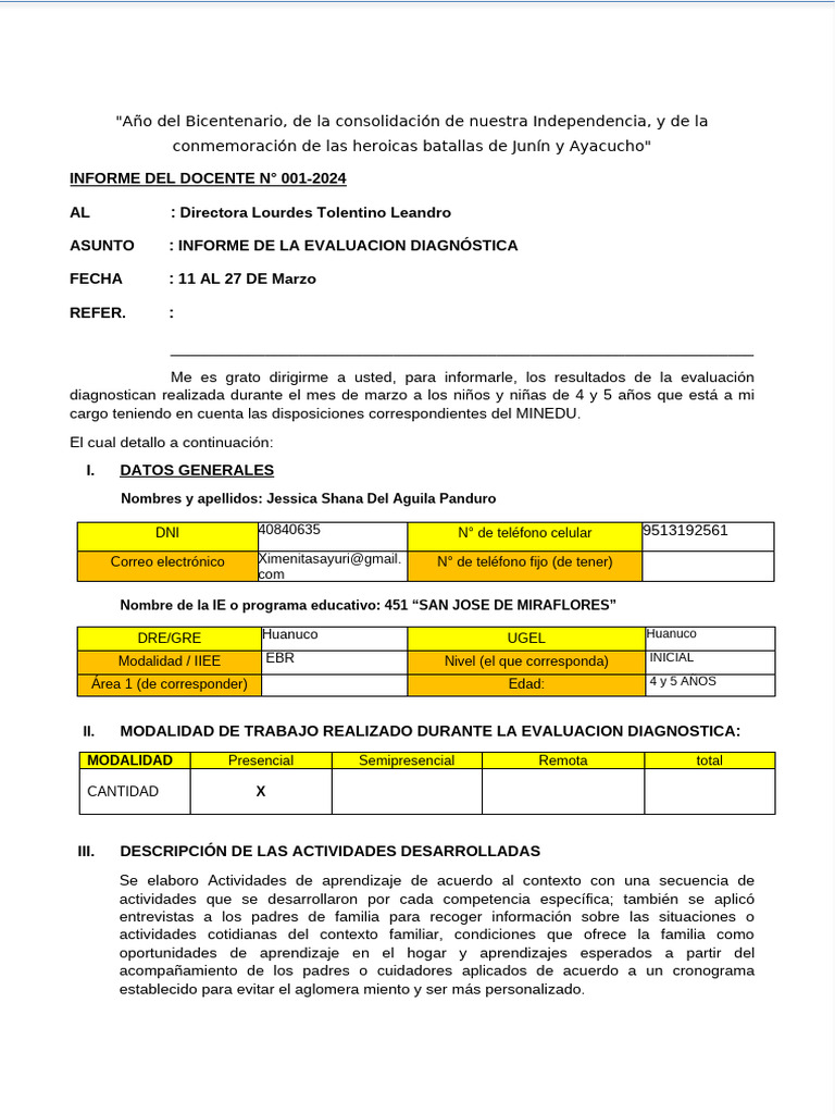 Informe Del Consolidado de La Evaluacion Diagnostica 2024 | PDF | Evaluación | Aprendizaje
