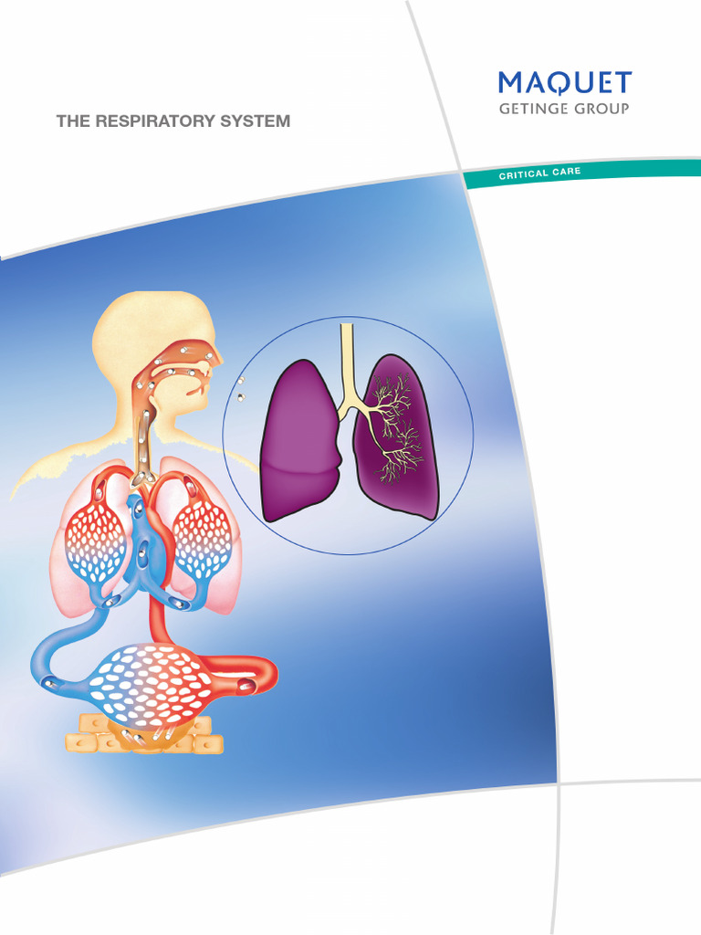 FLOW I - Recepiration AIN BASIC MX0505 EN | PDF | Respiratory Tract ...