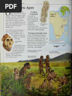 Narrabeen Man Case Study | PDF | Mummy | Artifact (Archaeology)