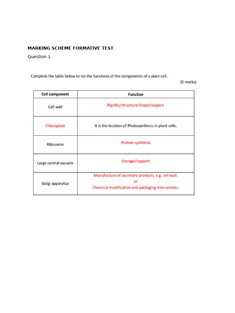 Marking_scheme_DP_1_Formative | PDF