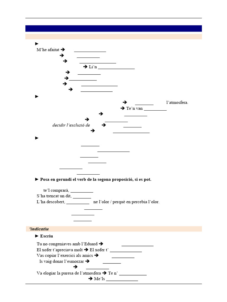 Ex Verb Ir Practica | PDF