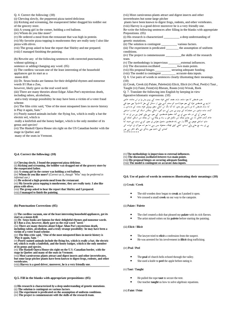 Grammar and Punctuation Correction Guide | PDF | State Of Palestine | World Politics