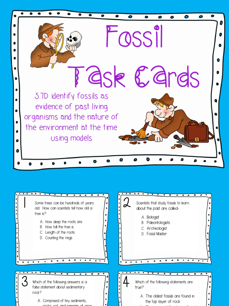 English Centers FOSSILTASKCARDS-1 | PDF | Rock (Geology) | Sedimentary Rock