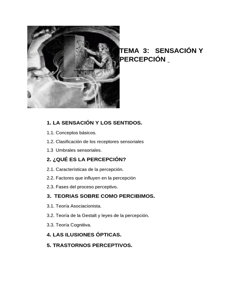 Sensación y Percepción: Guía Básica | PDF | Percepción | Sentidos