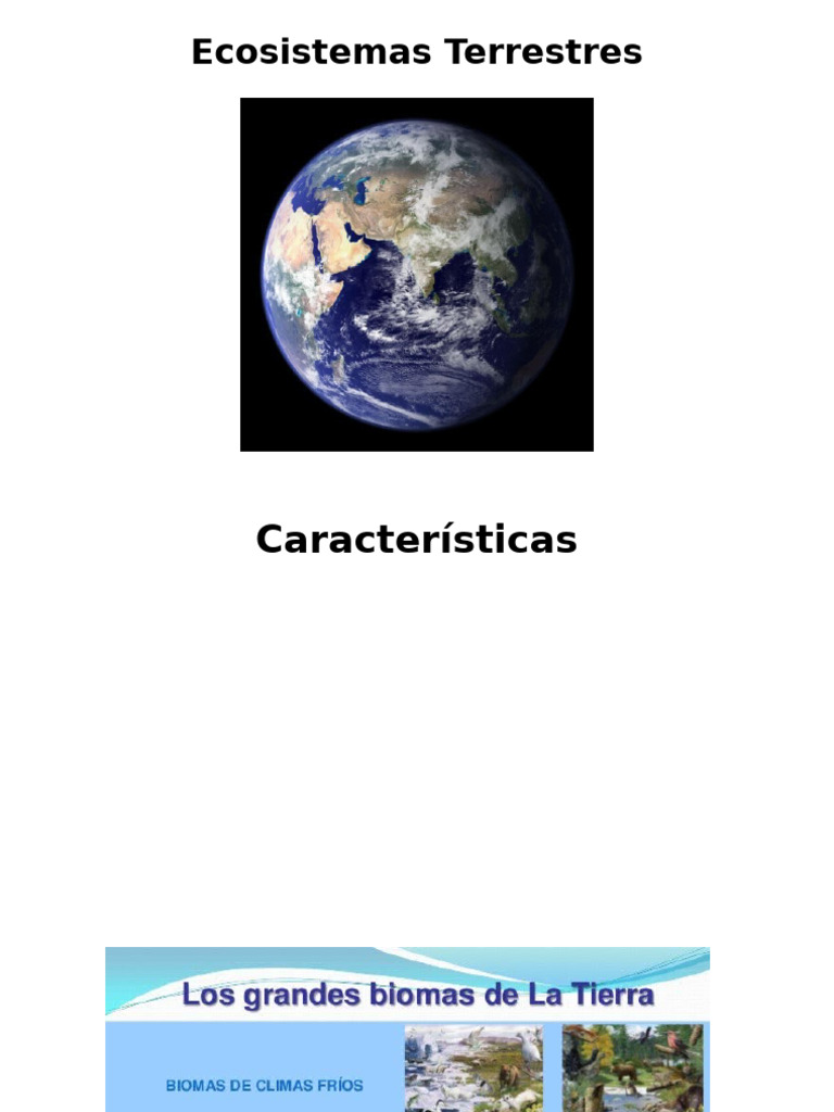Ecosistemas Terrestres | PDF