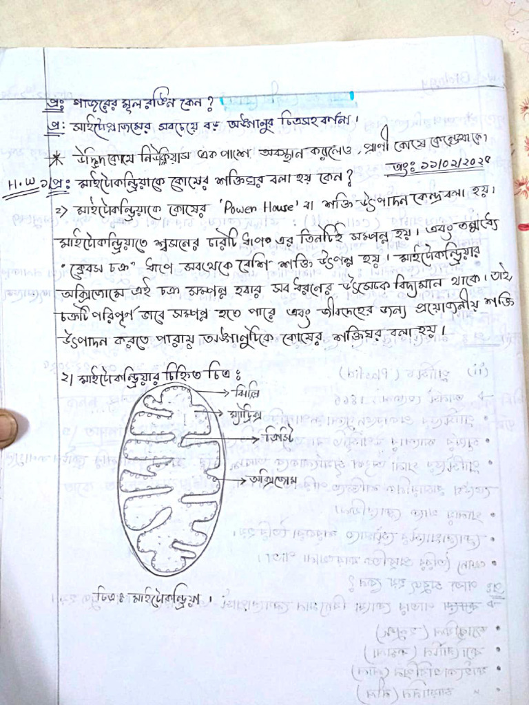 Biology Class 9-10 Chapter 2 Note | PDF
