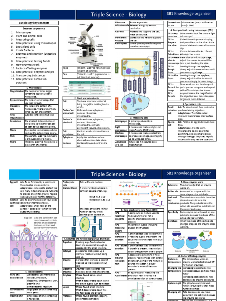 SB1 Biology Key Concepts Knowledge Organiser Triple Science Biology ...