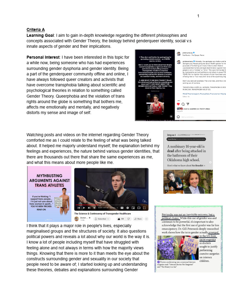 Personal Project Report | PDF | Gender | Gender Studies