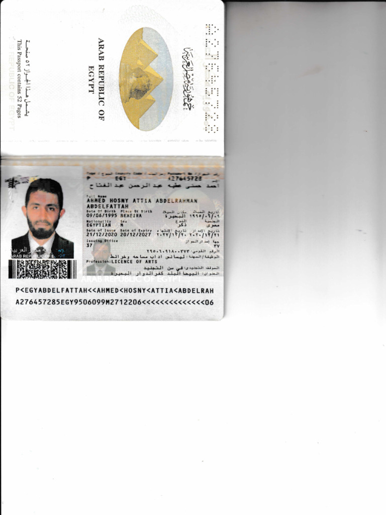 Egyptian License of Arts Document | PDF