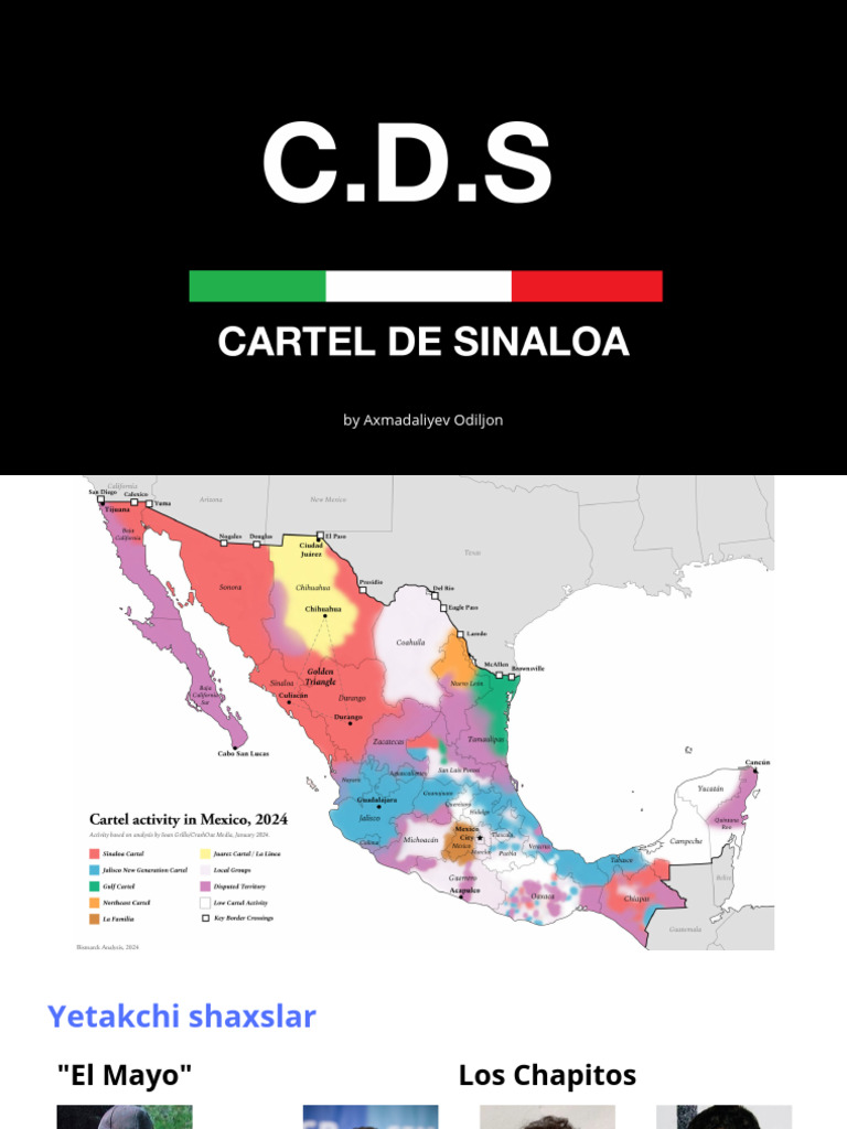 Cartel de Sinaloa | PDF