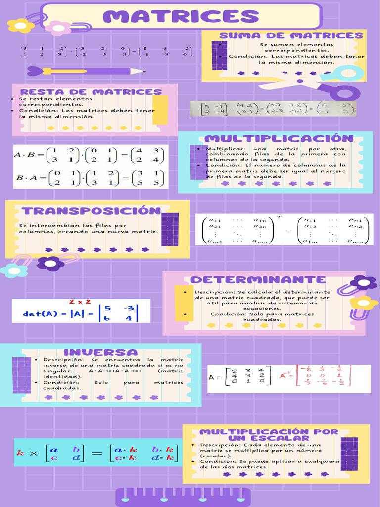 Operaciones Básicas con Matrices | PDF | Matriz (Matemáticas) | Determinante