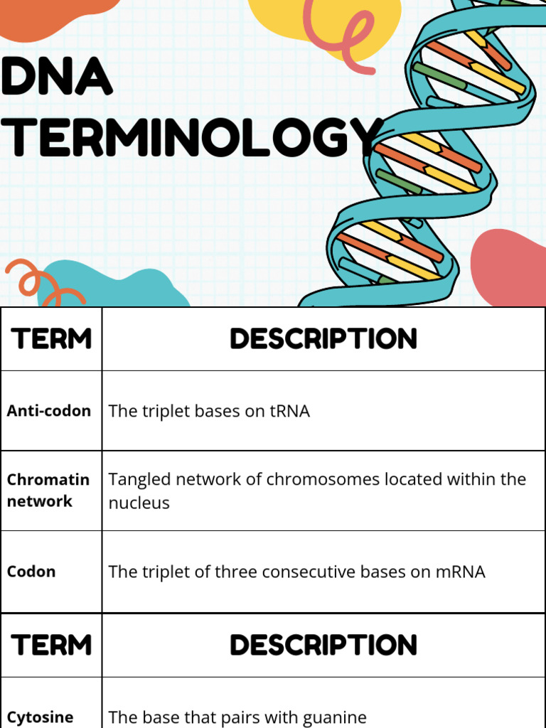 DNA TERMINOLOGY | PDF