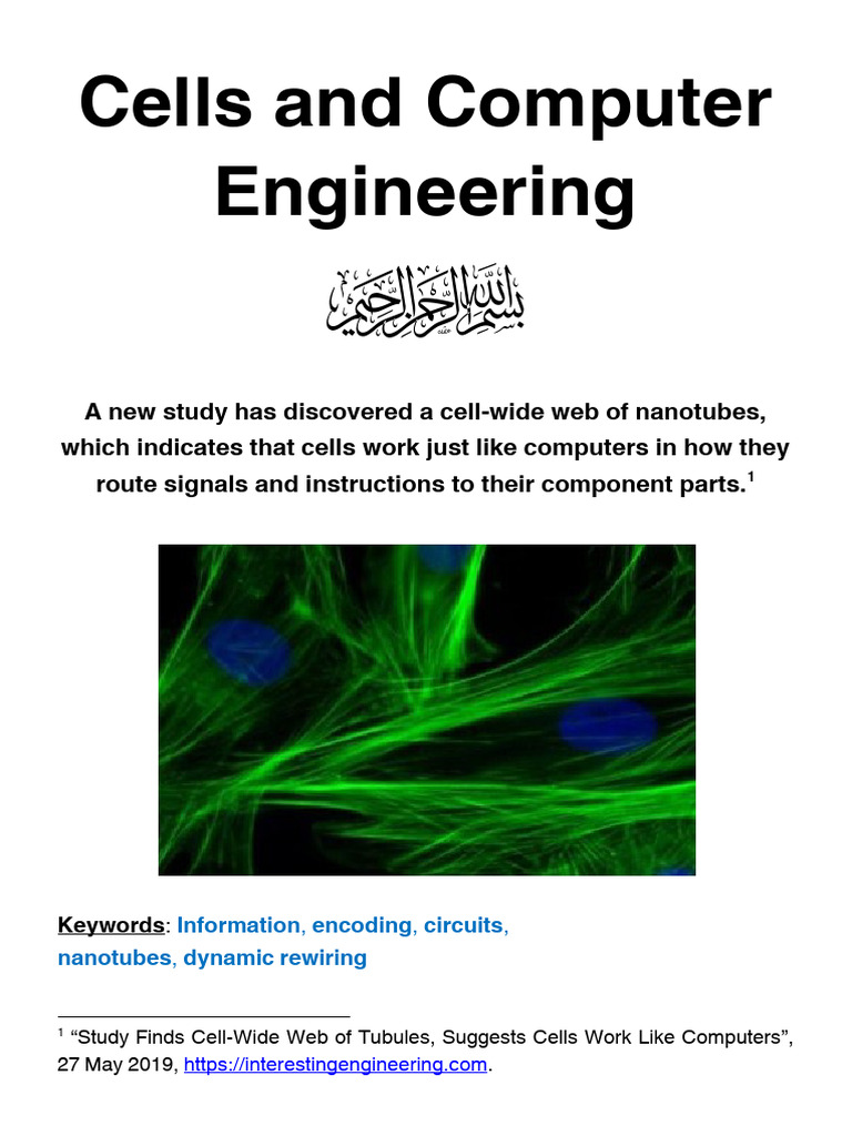 Cells Computers Engineering | PDF | Scientific Method | Hypothesis