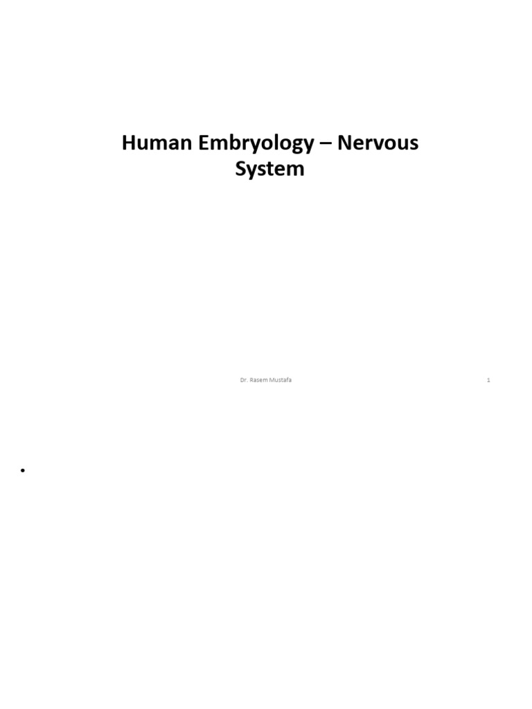 Nervous System Embryology Overview | PDF | Spinal Cord | Nerve