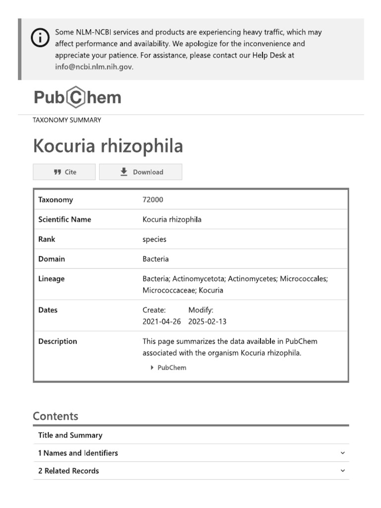 Kocuria Rhizophila | PDF